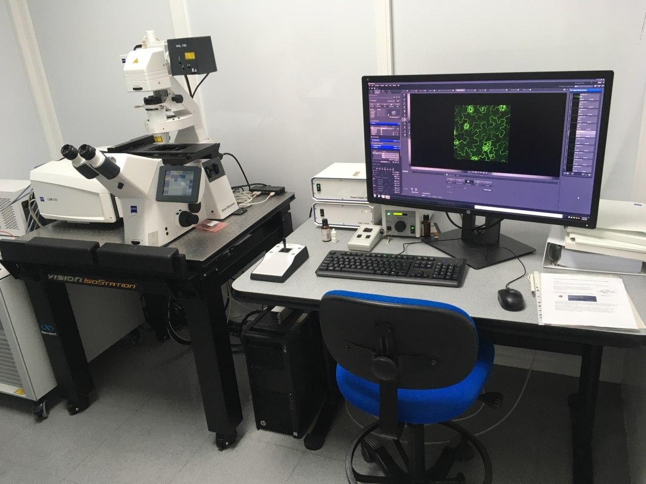 Microscopía