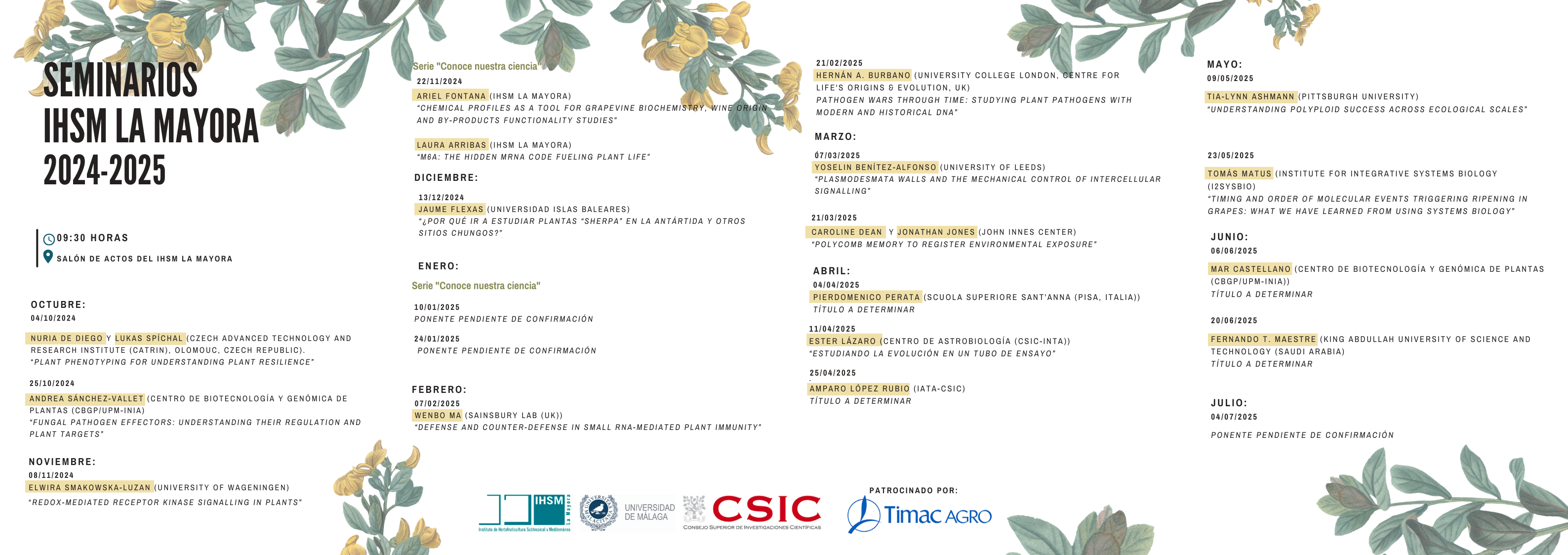 Programa completo de los Seminarios del IHSM La Mayora (2024-2025)